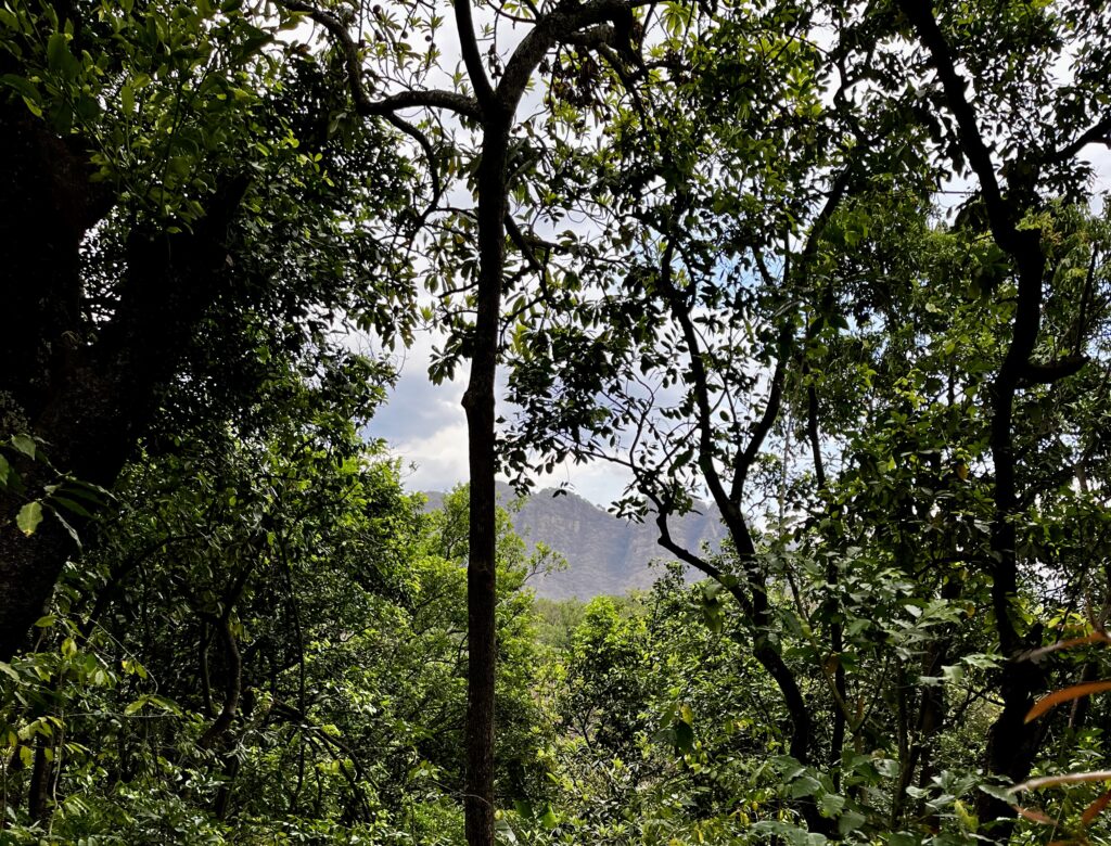 Ambiente residencial archivos - Página 2 de 2 - Vive Malinalco
